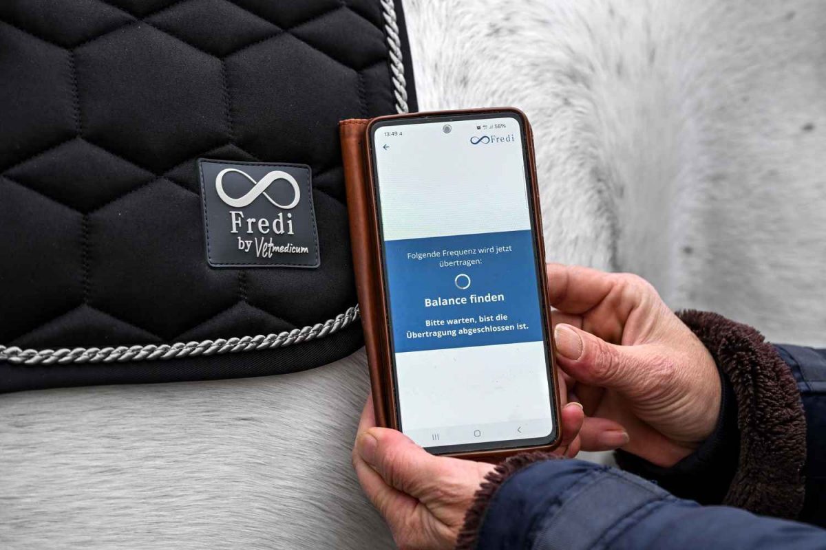 Über die Fredi App - Fredi Shop